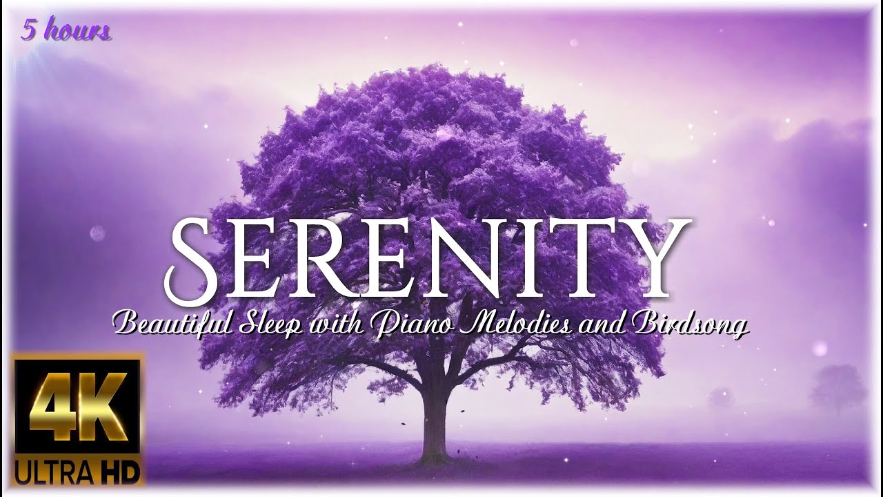 Serenity 🌳 4K Relaxing Video / Beautiful Sleep with Piano Melodies and ...