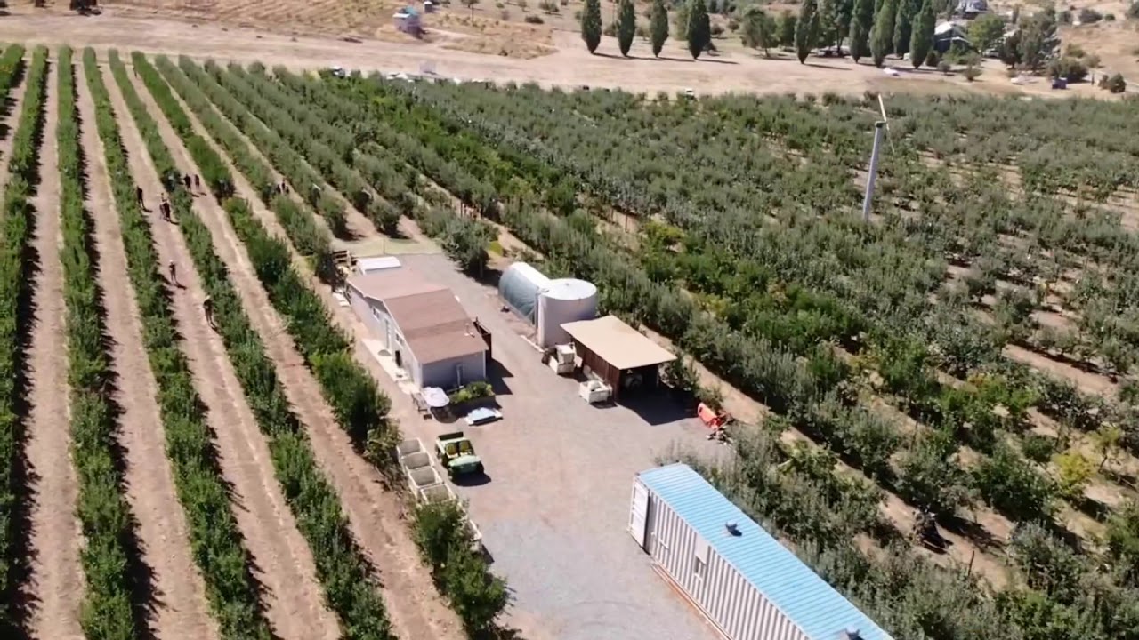 Vulcan Valley Apple Farm - YouTube