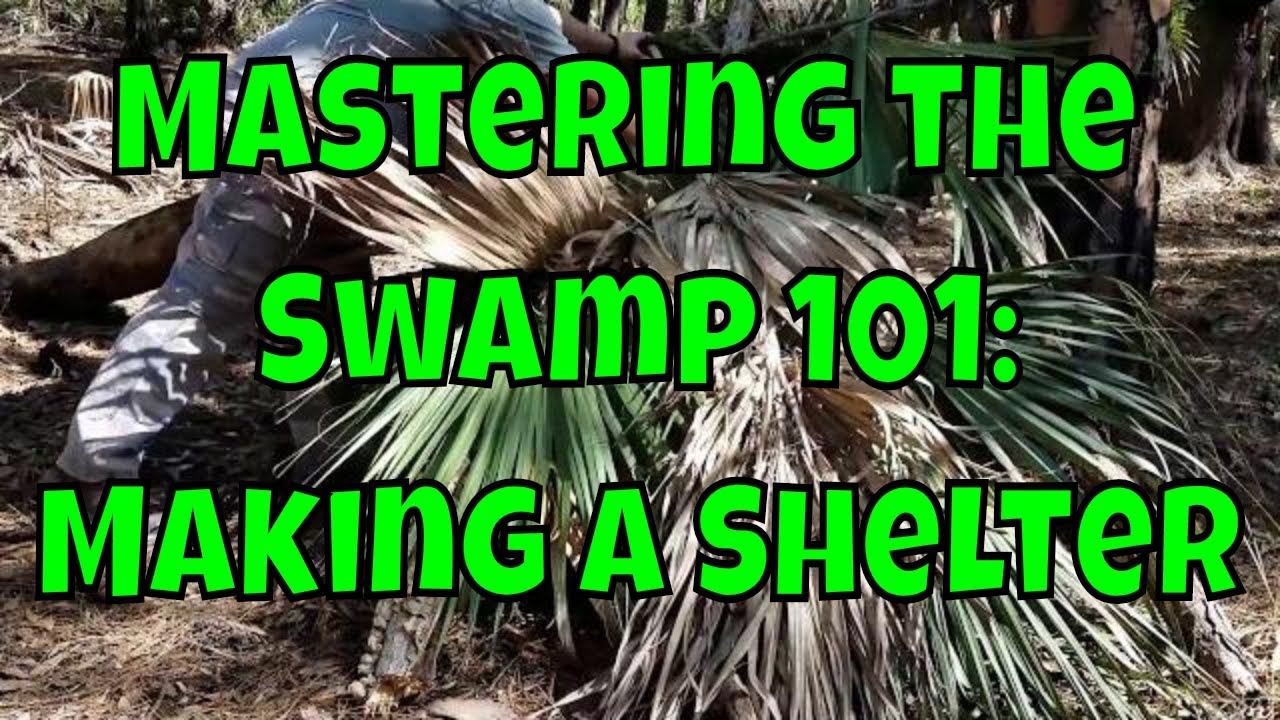 Mastering the Swamp 101: Shelter - YouTube