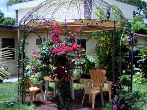 boca villa plants - YouTube
