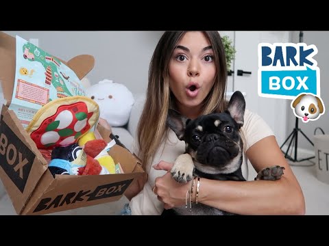 Unboxing my August Bark Box with my dog! - YouTube