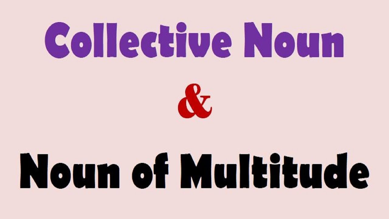 Collective Noun & Noun of Multitude - YouTube