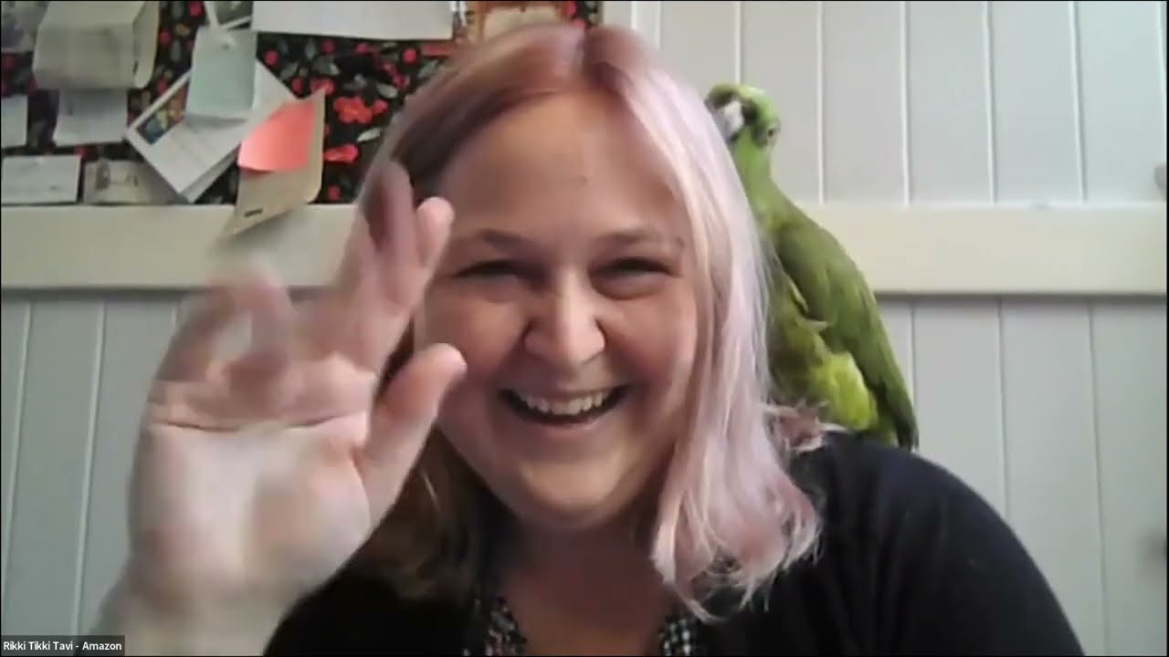 Rikki Tikki Tavi the Amazon - Mickaboo Virtual Adoption Fair - YouTube