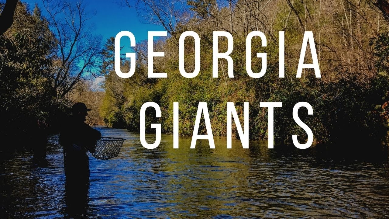 Soque River Fly Fishing in the North Georgia Mountains - YouTube