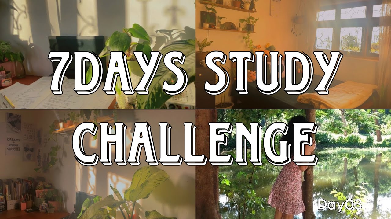 7days study challenge |day 3 සතියක් එක දිගට productive වෙමු ද |#study # ...
