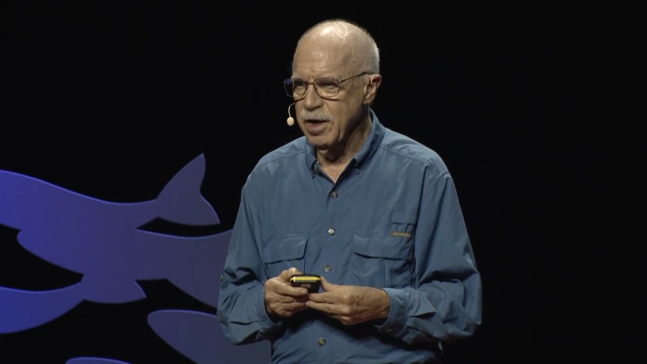 What you didn't know about bats | Merlin Tuttle | TEDxUTAustin - YouTube