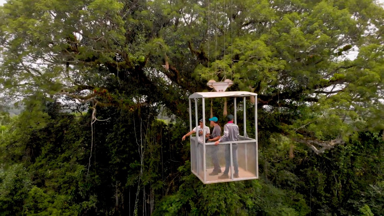 NEW Sacha's Canopy Exploration Crane - YouTube