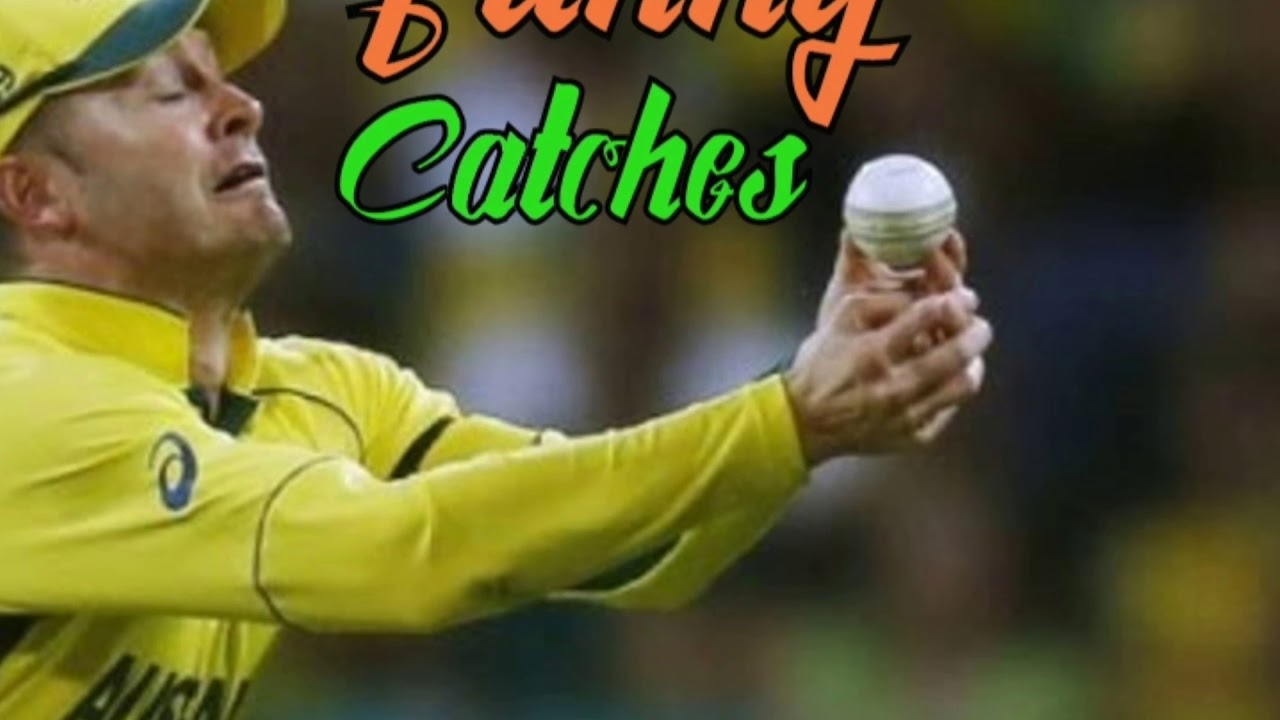 Best catches on cricket - YouTube