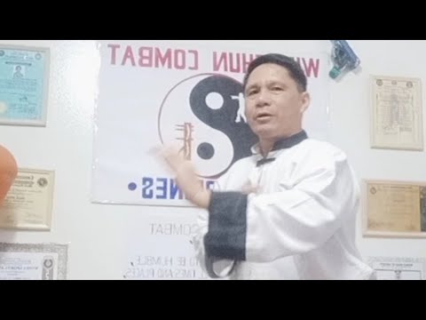 Practice of Basic Stances with Strikes - YouTube