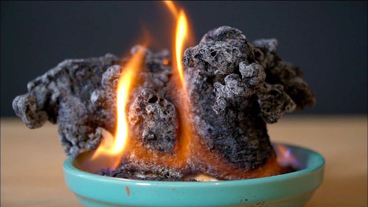 Amazing Science Experiment: Black Fire Anemone - YouTube