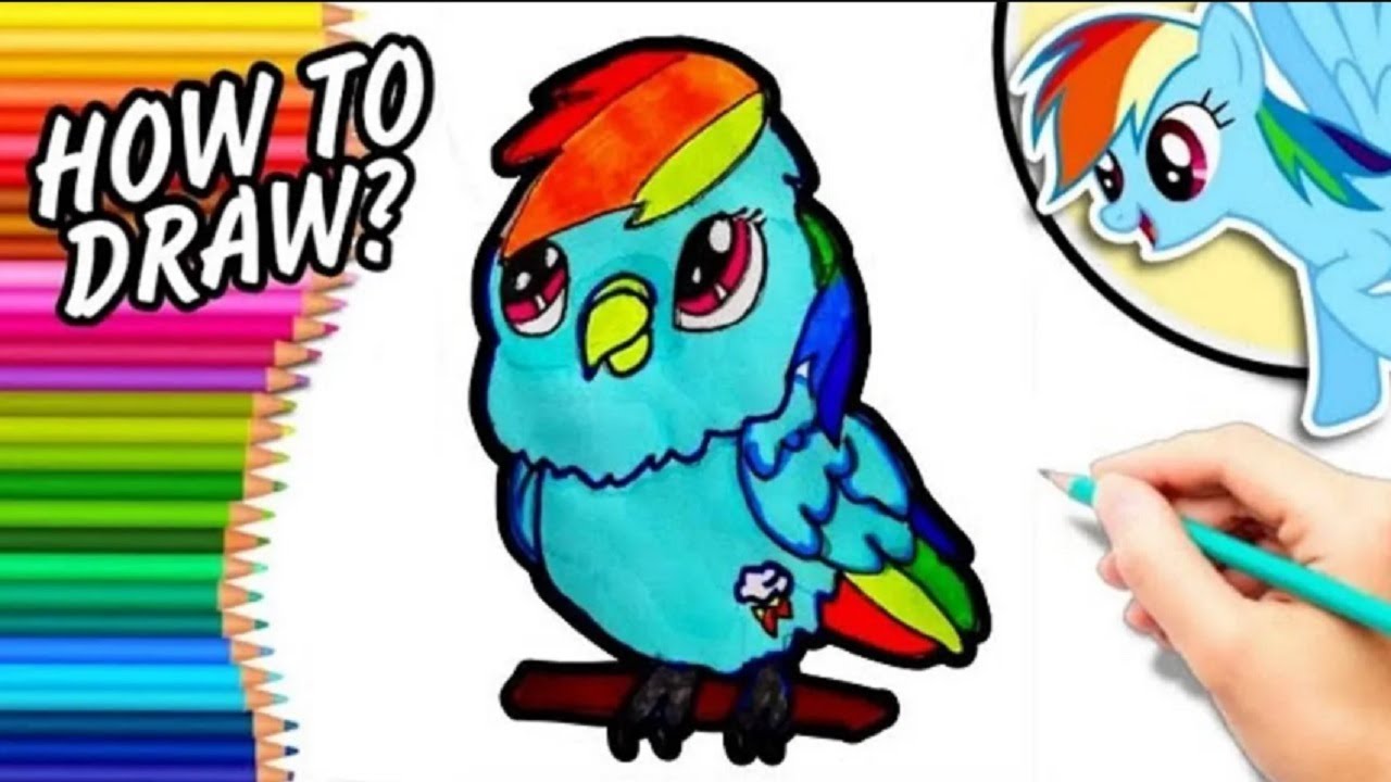 HOW TO DRAW RAINBOW DASH AS A CUTE PARROT / How to draw My little pony ...