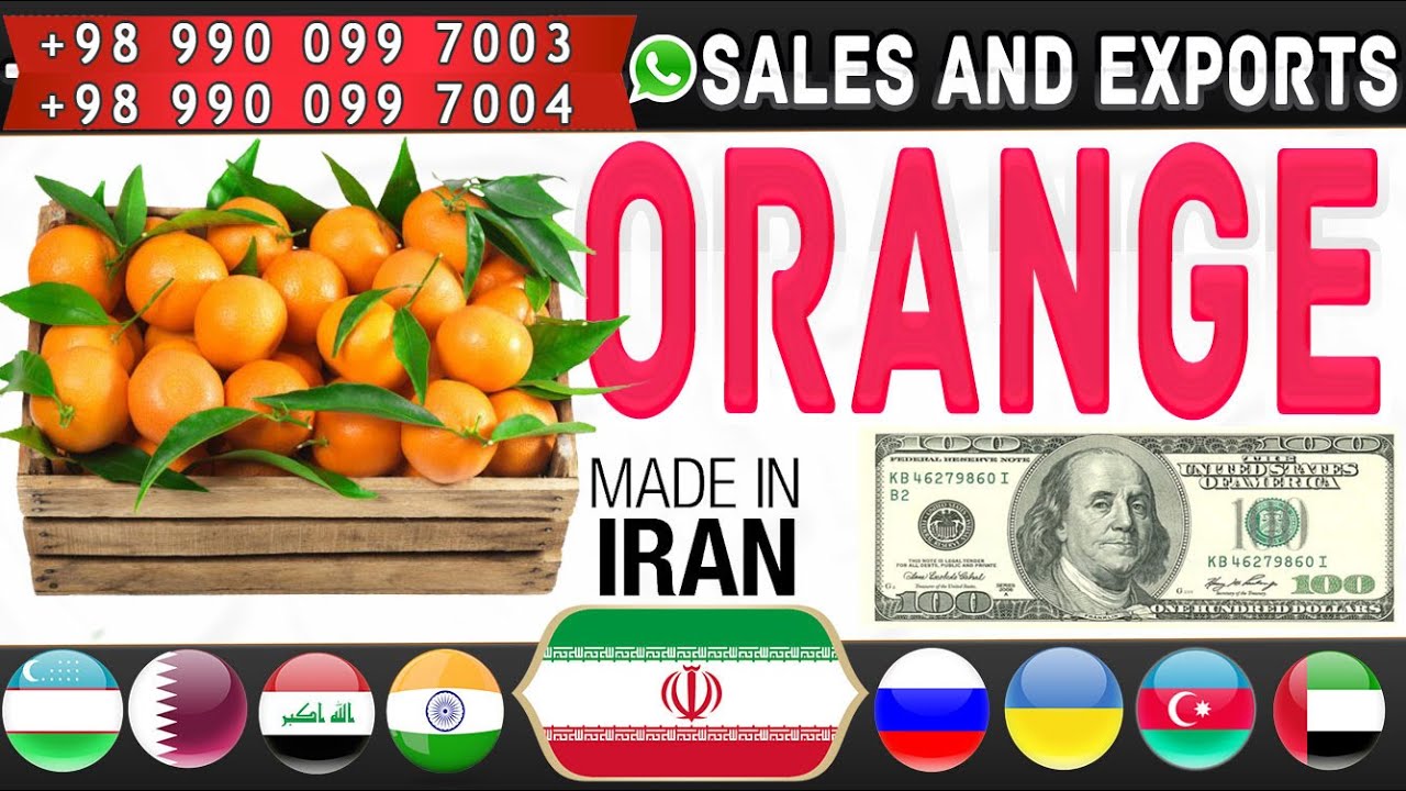 🍊 Oranges and Tangerines: Buy and exports of Iranian oranges ...