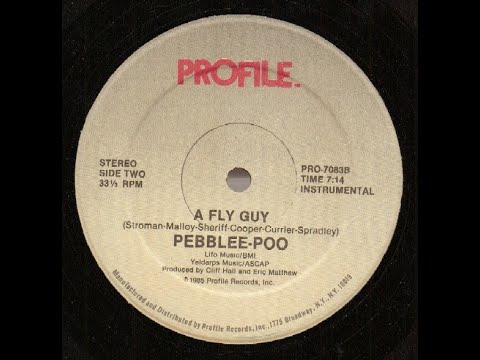 Pebblee Poo - A Fly Guy (vocal) (1985) - YouTube