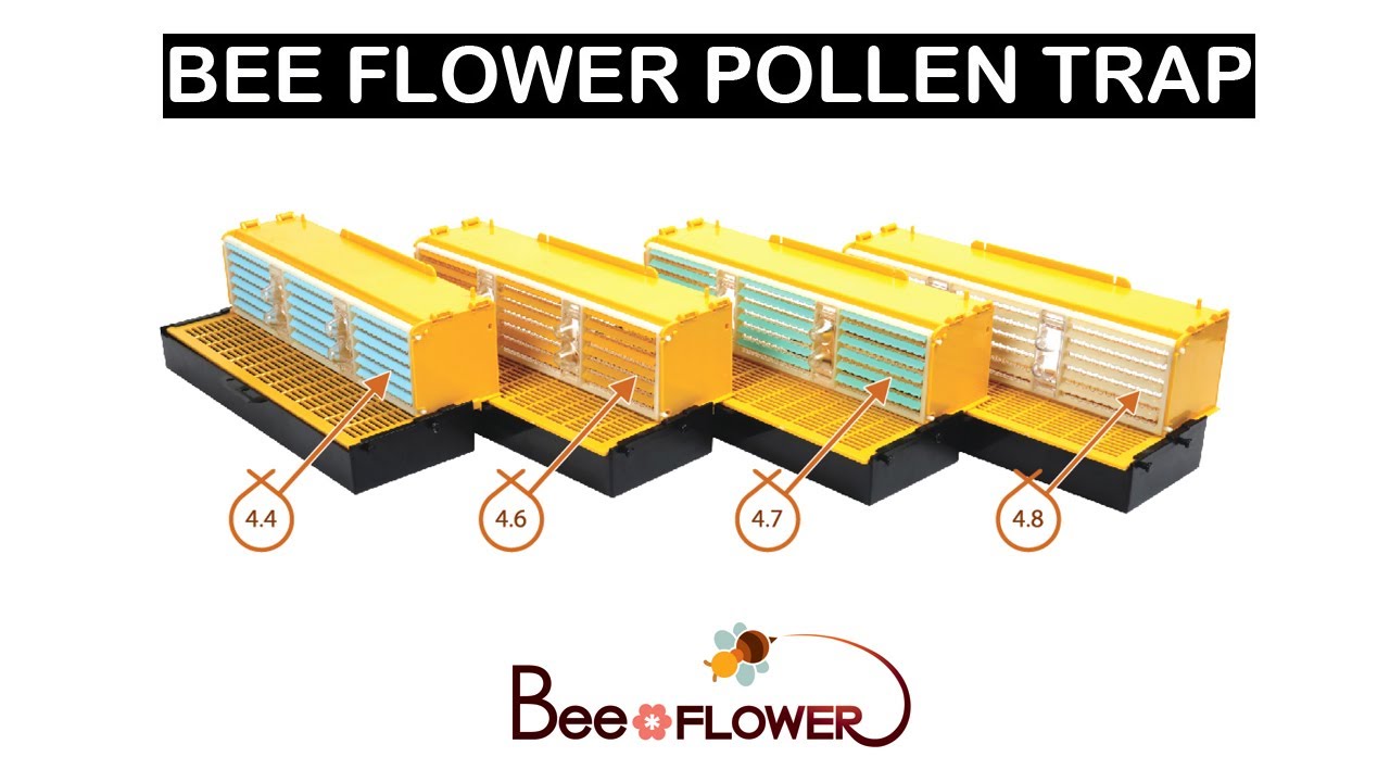 BEE FLOWER Pollen Trap - YouTube