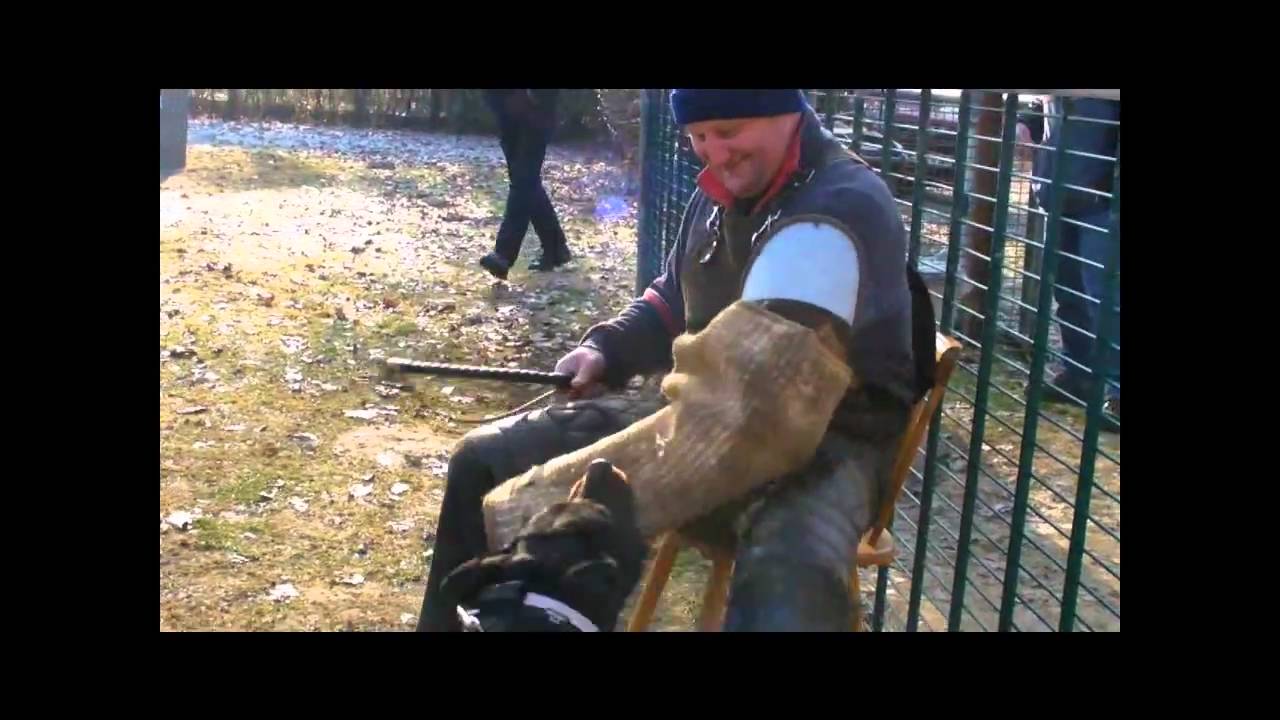 Donna vom Schwingbach 30 01 2011 Robert Betschart - YouTube