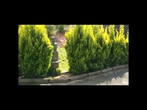 //karnataka Rastra kavi, Sri.Kuvempu's birth place and house 🏠.famous ...