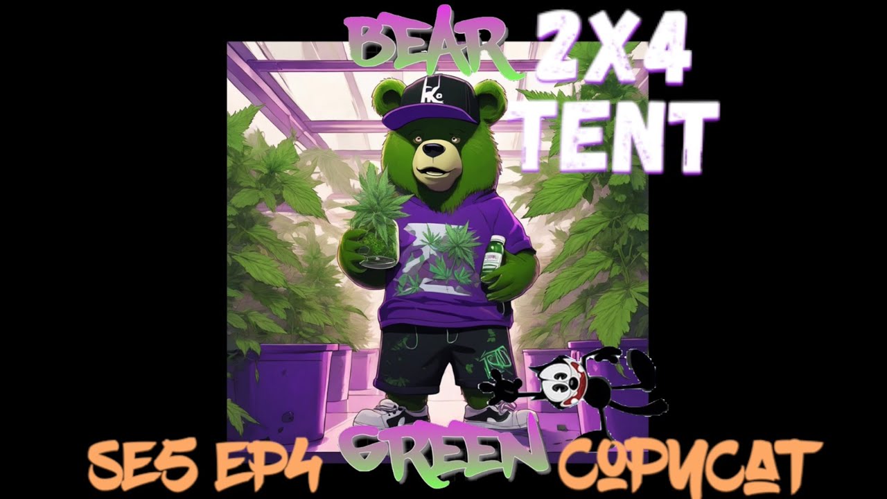 How i grow exotic genetics Se5 Ep 4 - YouTube