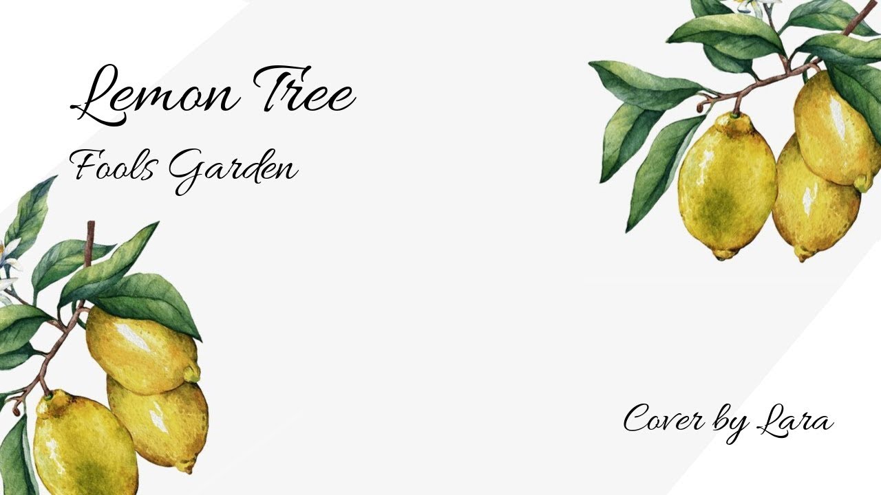 Fools Garden - Lemon Tree | Cover by Lara - YouTube