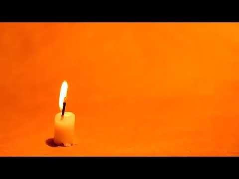 Telifsiz kısa müzik video