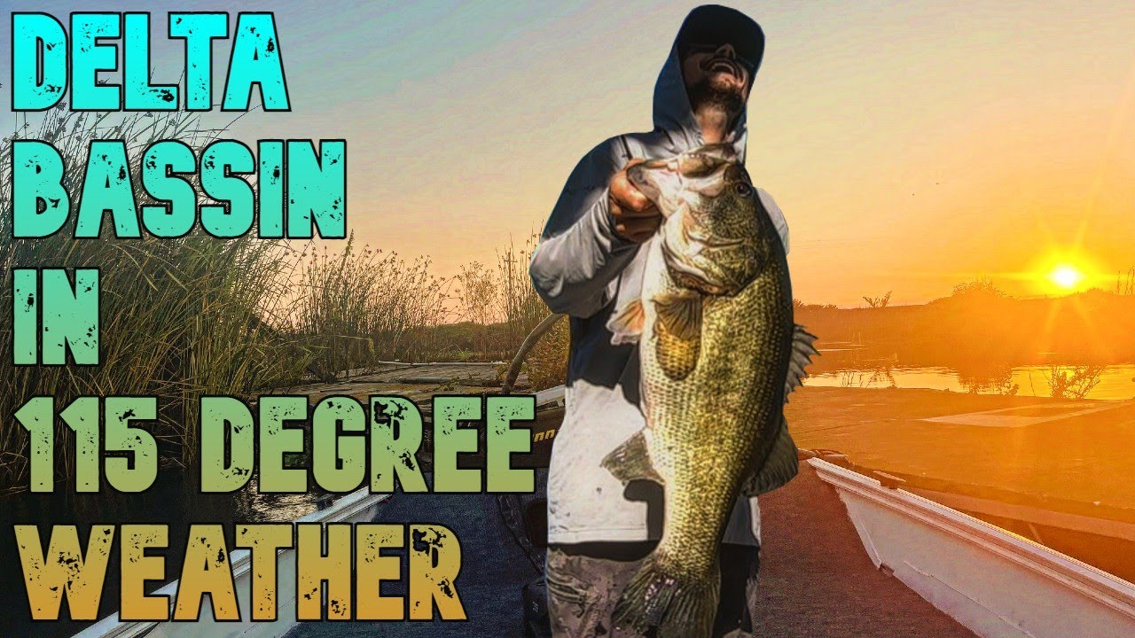 Ca Delta Summer Tips | Delta Punching | BONUS DELTA GIANT | Delta Frog ...