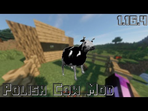 Polish Cow Mod - Minecraft 1.16.4 - YouTube