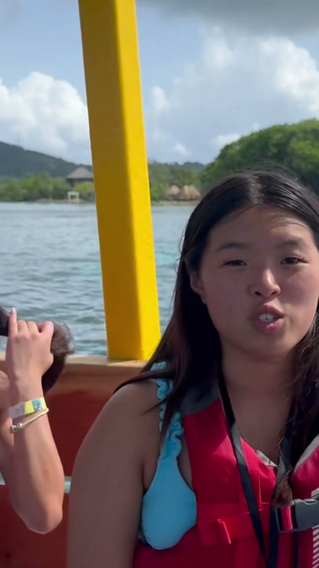 Birds l Roatan Island in Honduras l 8.7.2024 - YouTube