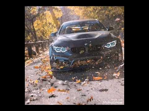 Ork TuGi - Deliorman kuchek 2020