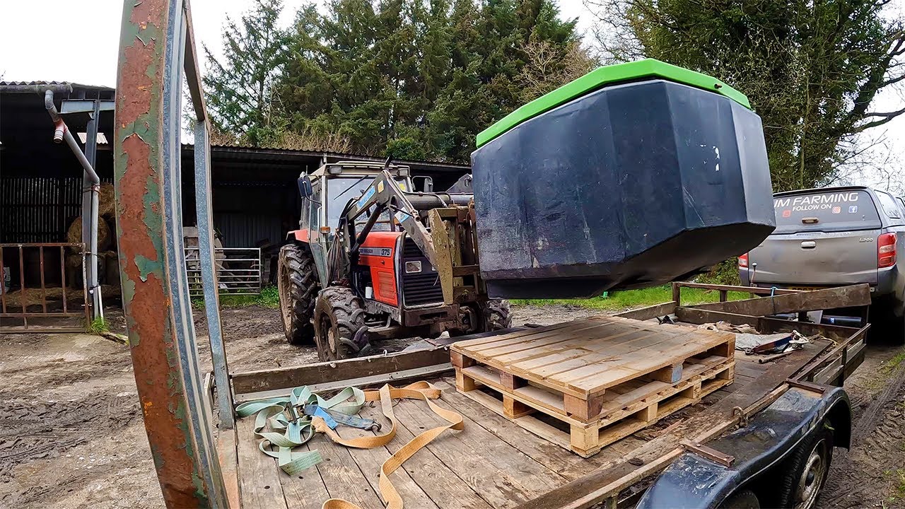 A Big Day For Our Cows | Tipsy Bin Full Of Feed! - YouTube