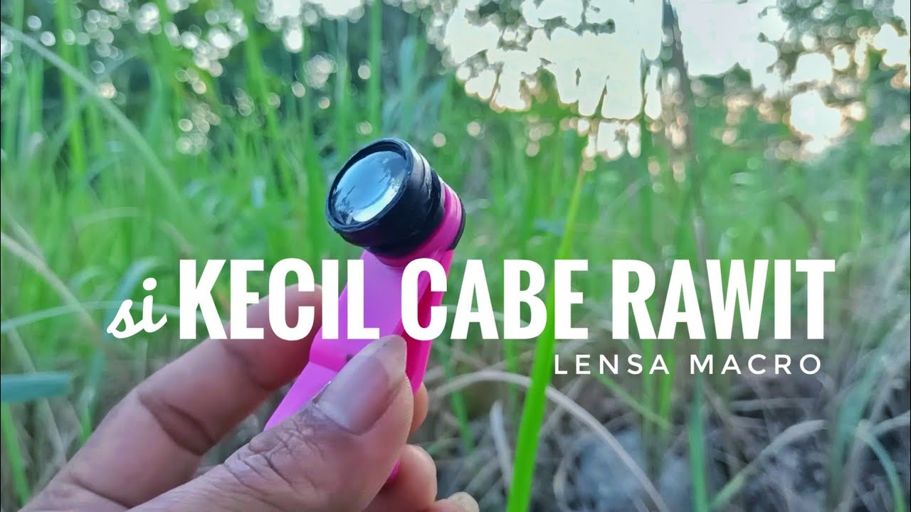 LENSA MACRO DIY || MACRO LENS PHONE - YouTube