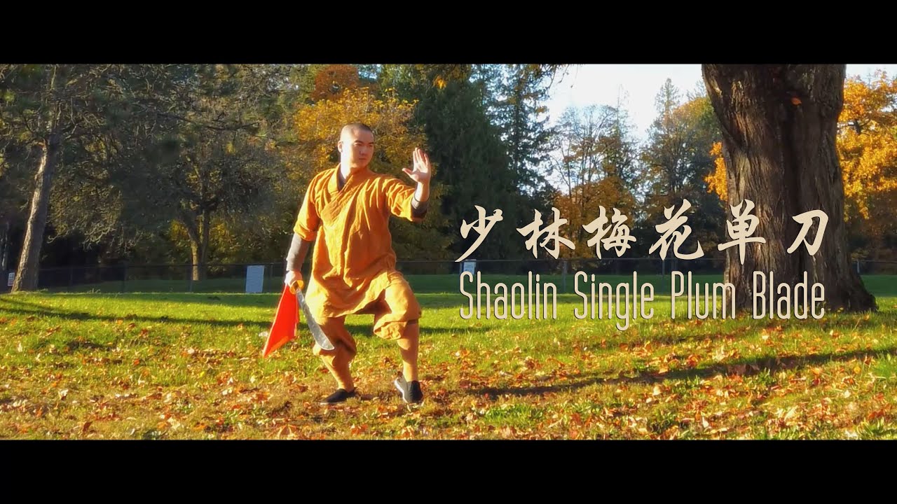 Shaolin Single Plum Blade (少林梅花单刀) by Master Shi Yandi (释延荻) - YouTube