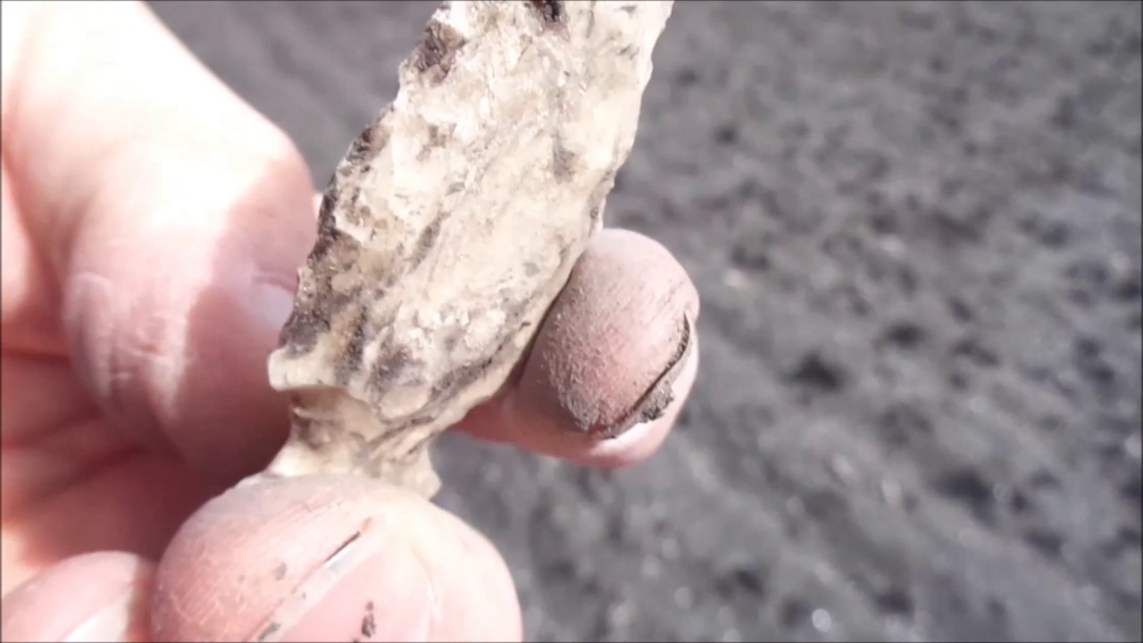 MUD LAKE ARTIFACTS - YouTube