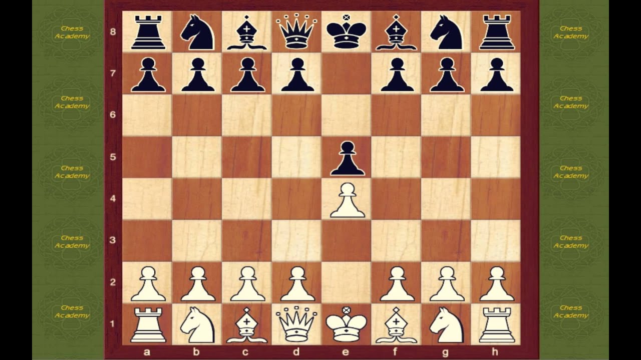 Chess Opening Book Leonardis Variation Opening - YouTube