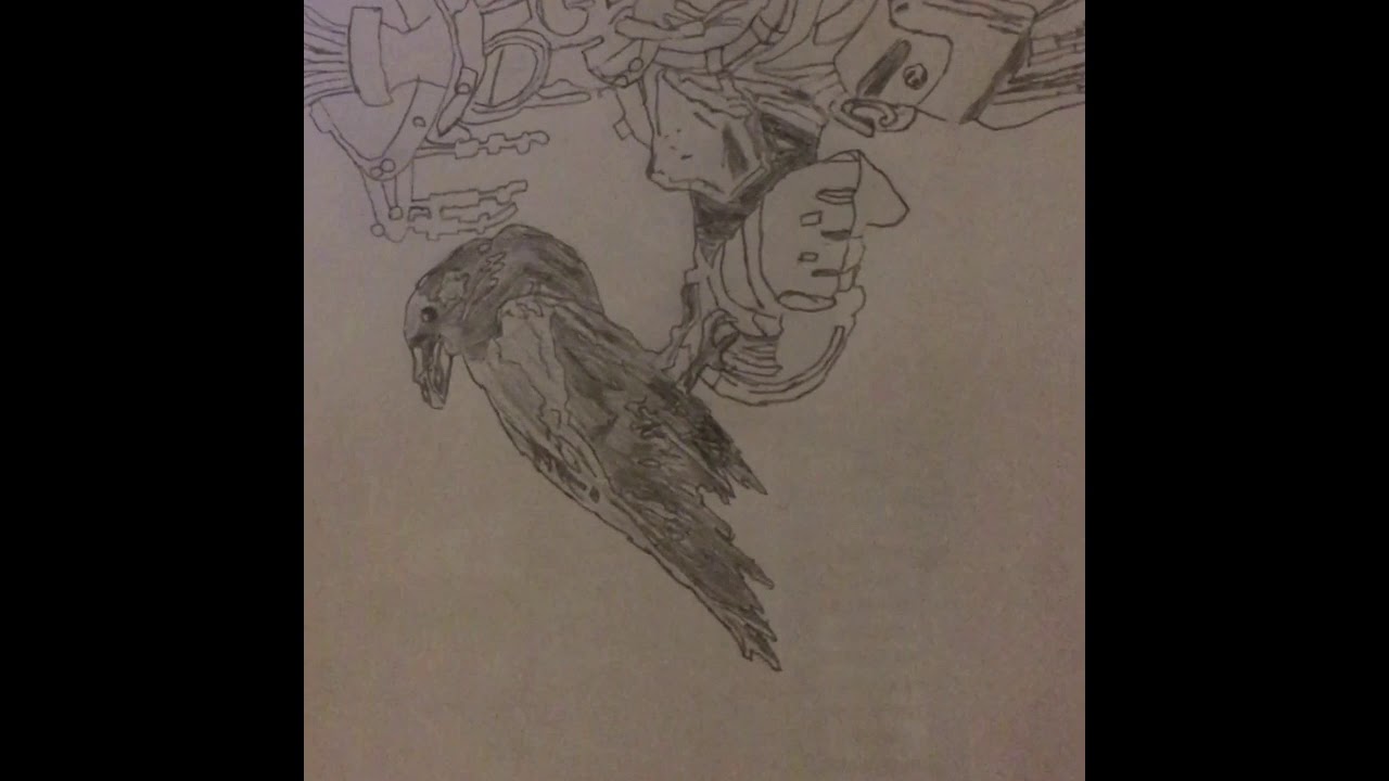 How to draw different characters in Apex Legends - YouTube