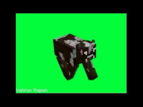 Polish cow but its in Minecraft with a green screen - YouTube