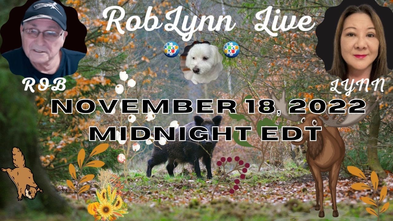 RobLynn Live Nov. 18, 2022 midnight EST - YouTube