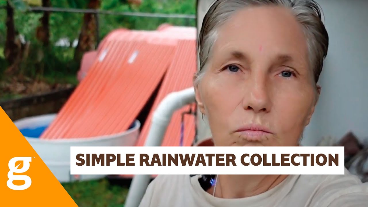 5 minute rainwater collection system - super simple! - YouTube
