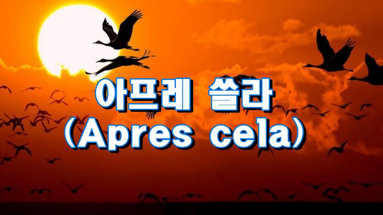 아프레 쓸라 Apres cela #서범석의 米壽의 笙 - YouTube