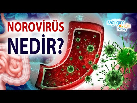 Norovirüs Nedir? Norovirüsten Nasıl Korunabiliriz?