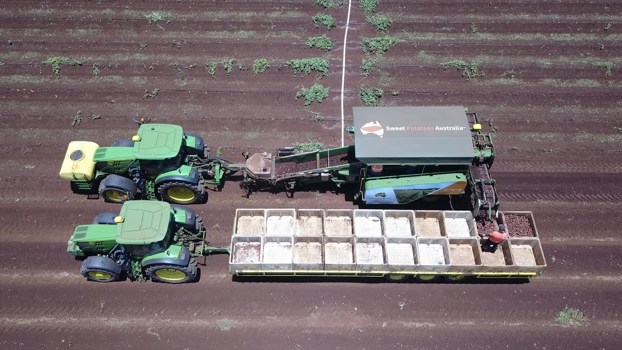 Corematic and Greensill Farming Group - YouTube