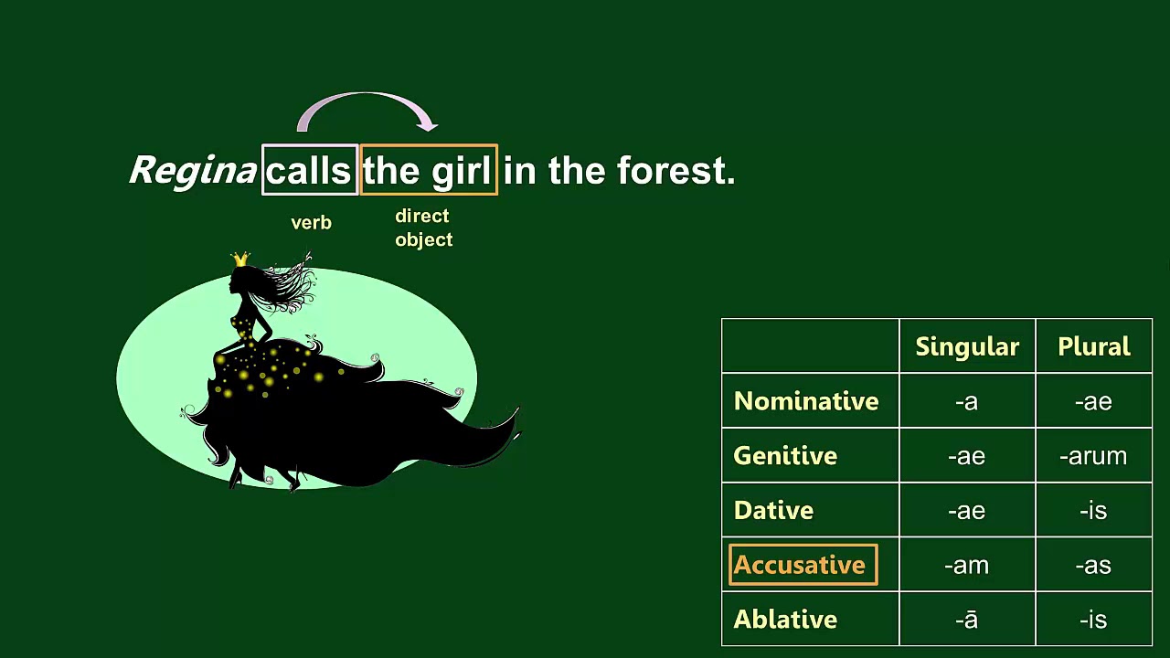 Lecture 1.4.2: The Accusative Case - YouTube