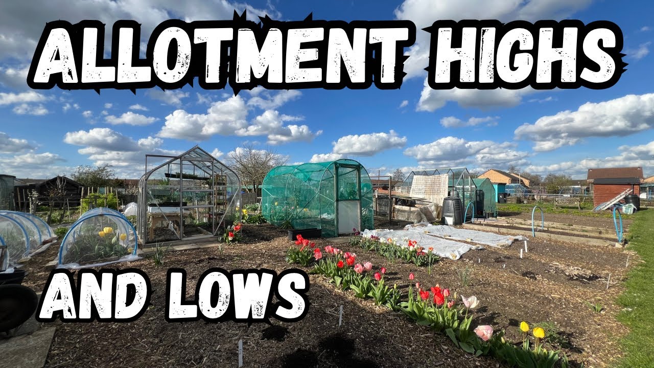 SPRING ALLOTMENT - HIGHS & LOWS - YouTube