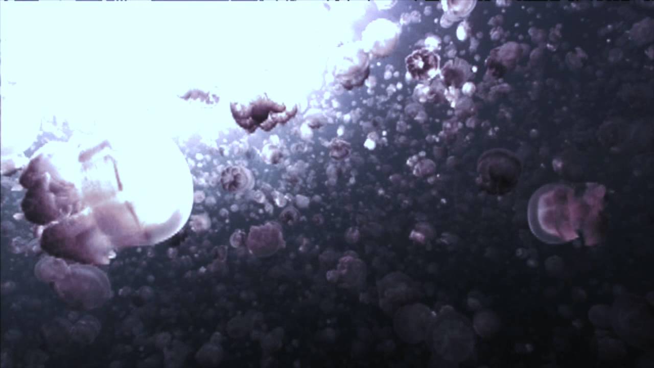 HeO2 - YouTube