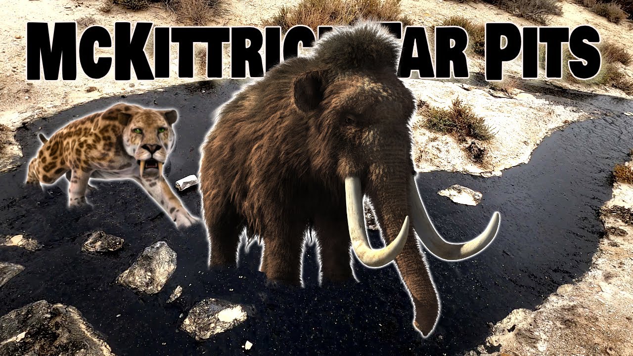 McKittrick Tar Pits ǀ Fossil Site in California - YouTube