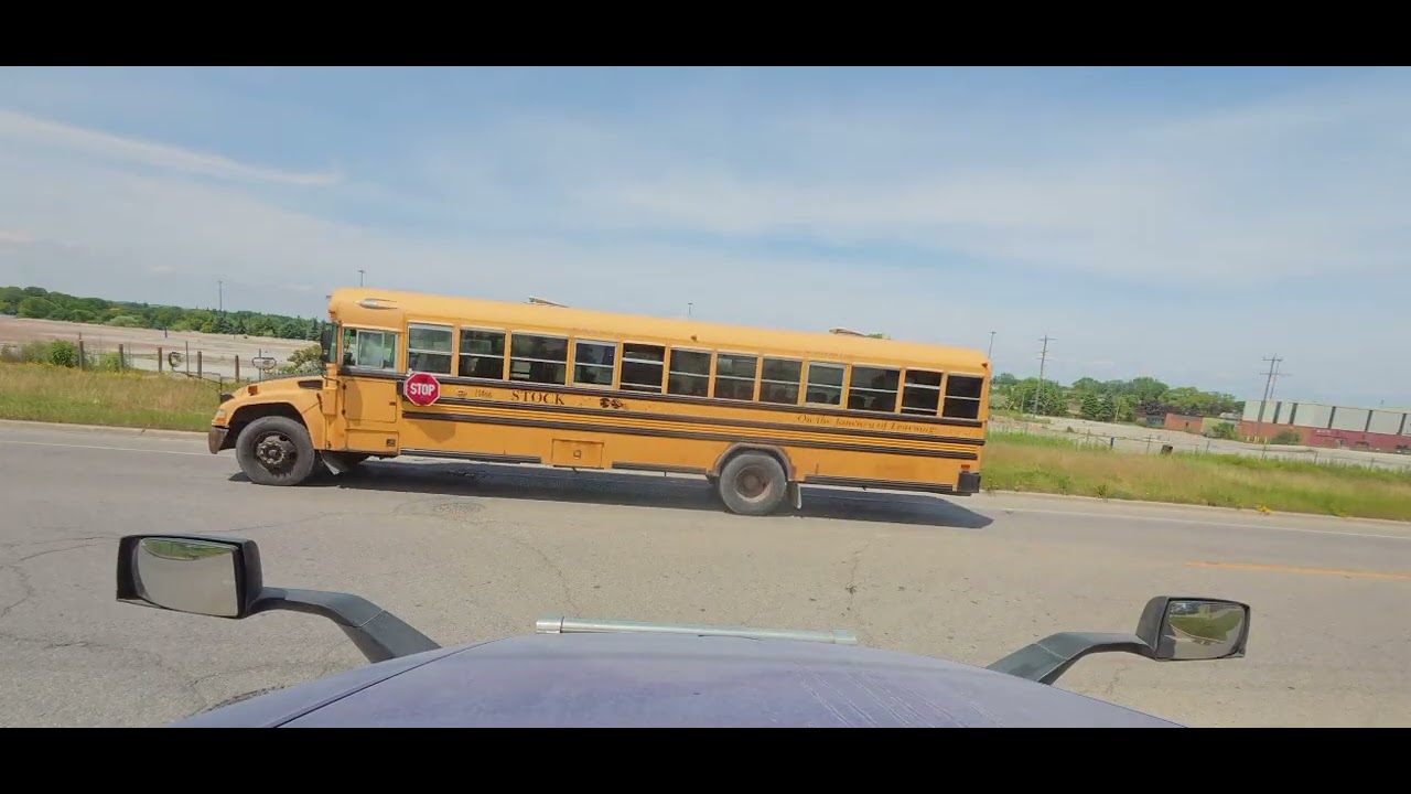 Three school buses, did you see them all? - YouTube