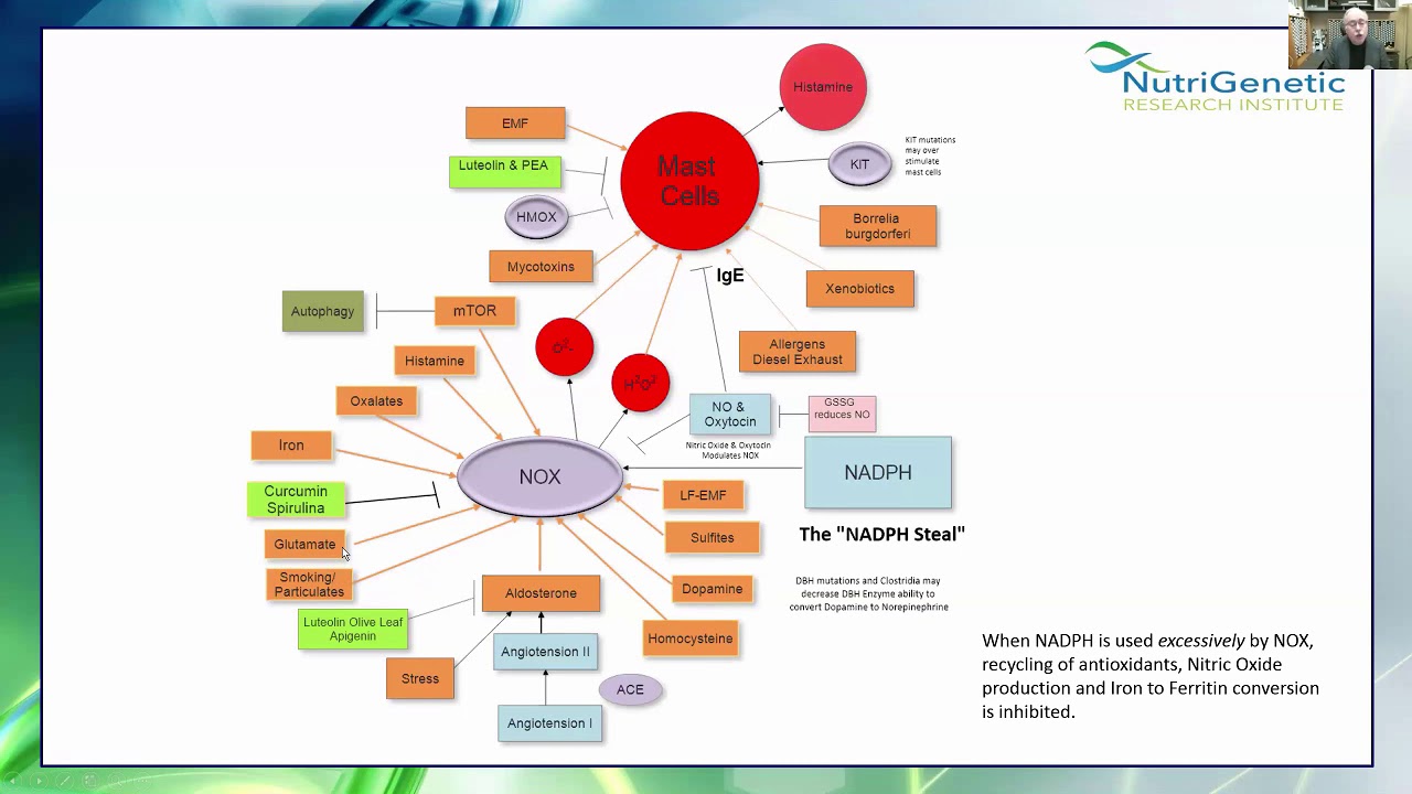 Bob Miller CTN, Genetics and Epigenetics NOX #2 - YouTube