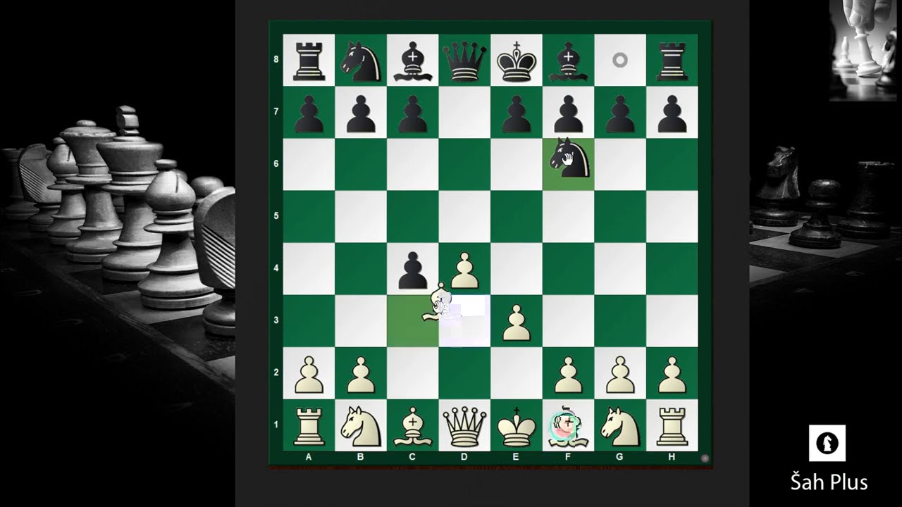 Damin Gambit – Greške u Šahovskim Otvaranjima na Šah Plus Kanalu - YouTube