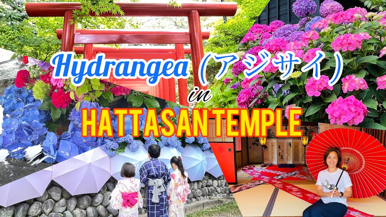 Saan Aabot ang Ichi Yen Mo!? - YouTube