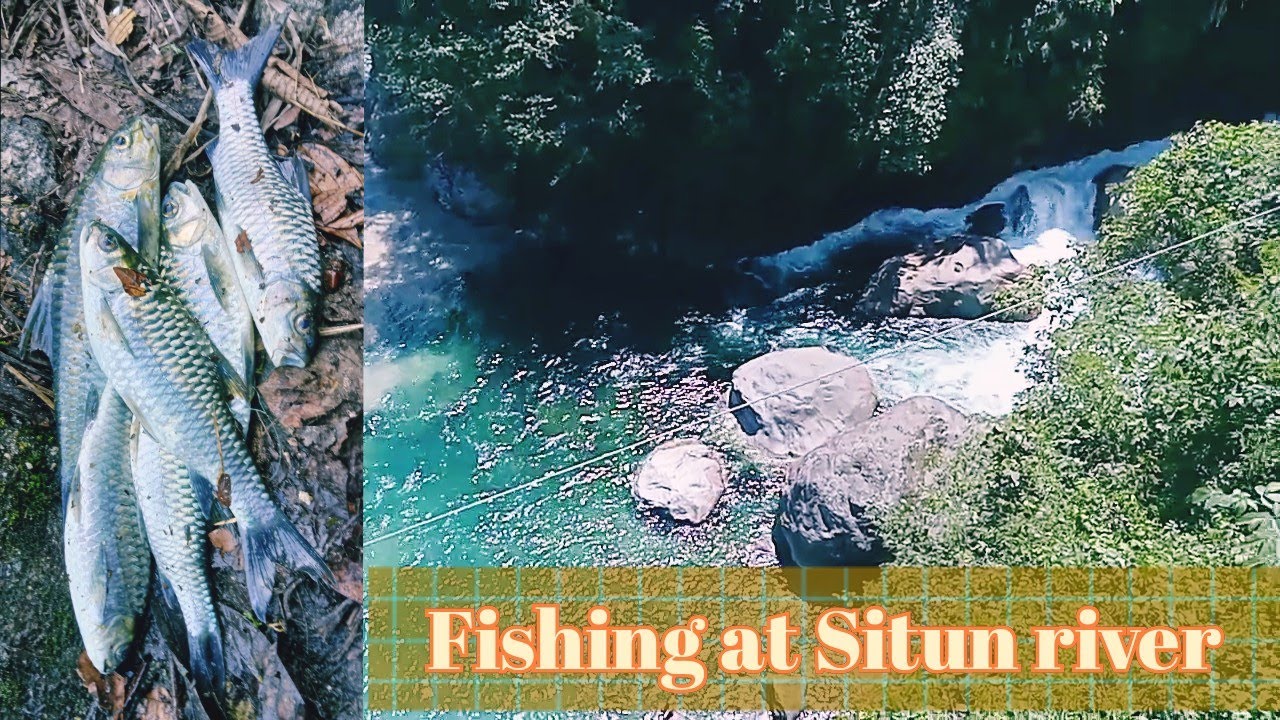 Catching Fish At Situn River,Near China Border District Upper Siang ...