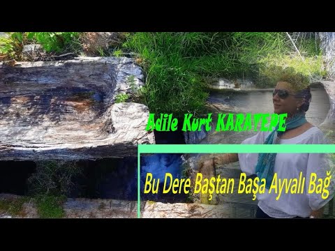 Adile Kurt Karatepe ⊰❀⊱  Bu Dere Baştan Başa Ayvalı Bağ ⊰❀⊱  226
