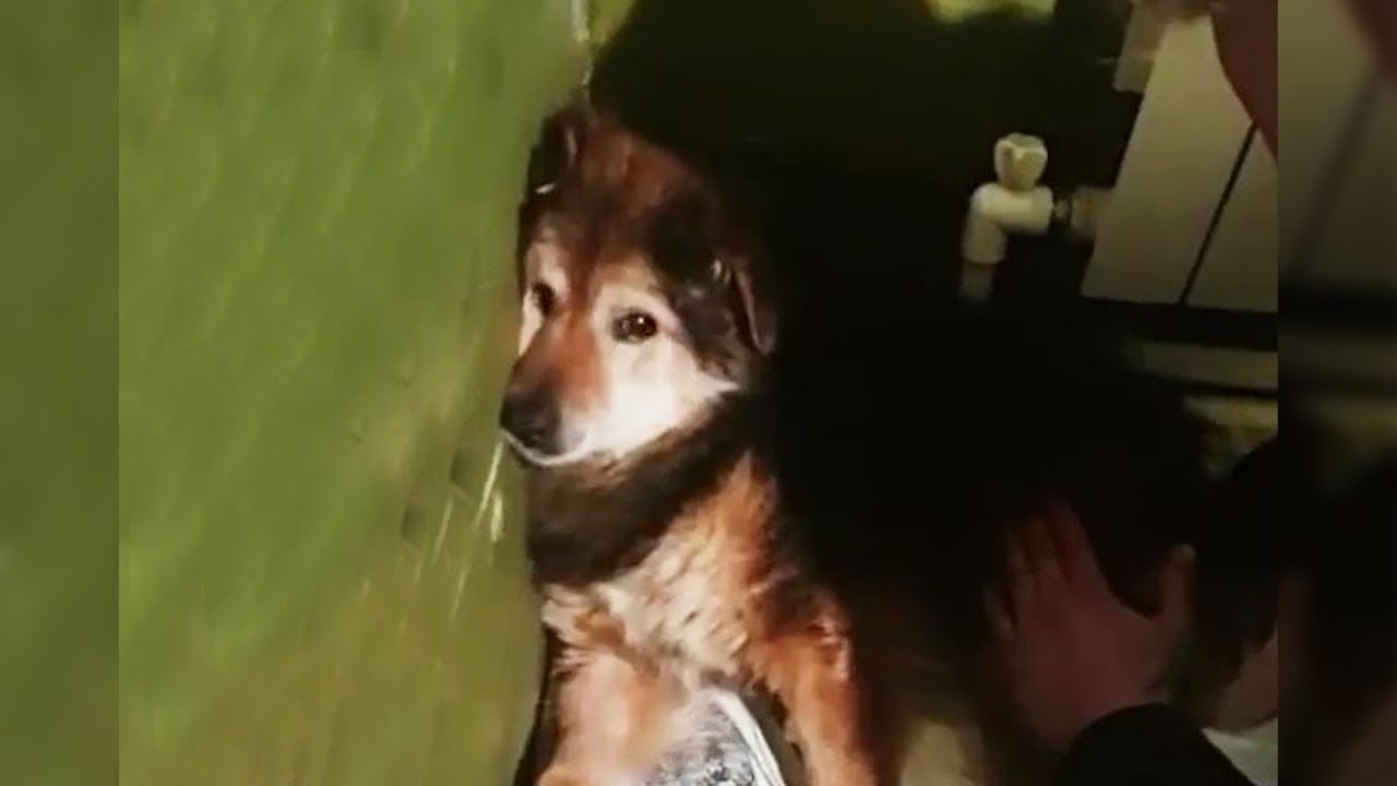 A Desperate Escape, Carrying Overwhelming Fear, Uncontrollable ...